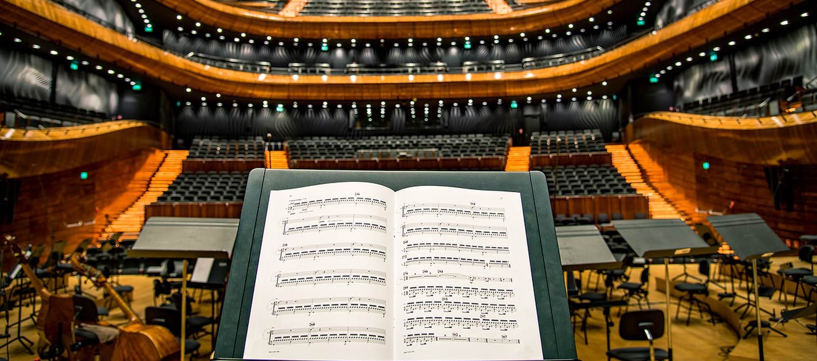 Baltimore Symphony Seating Chart